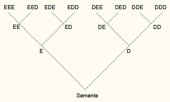 Diagramas de árvore :: Lógica nos números
